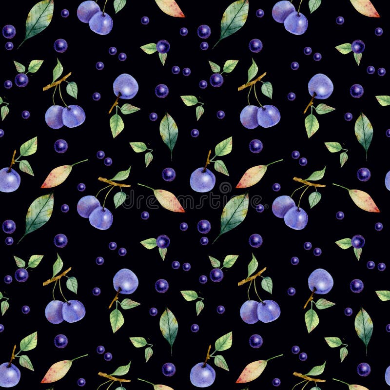 Seamless Pattern of Branch E Berries of Sloe Stock Illustration ...