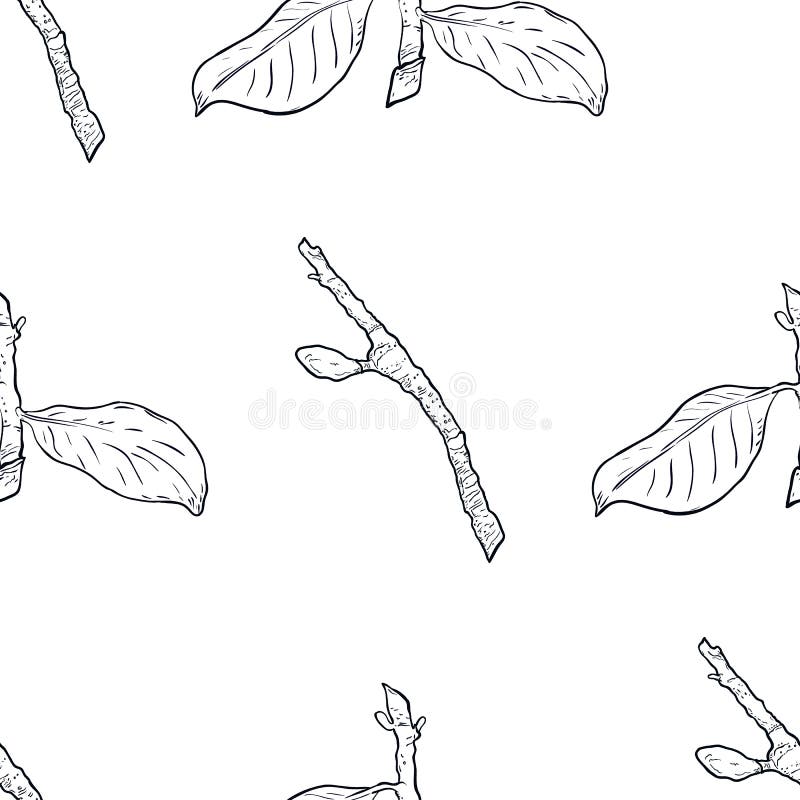 Seamless Pattern Branch with Green Leaves. Drawing, Vector Illustration ...