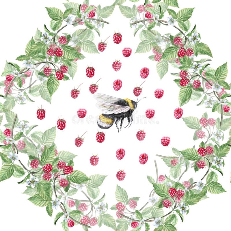 Seamless Pattern of Branches and Raspberries, Bees in Watercolor ...