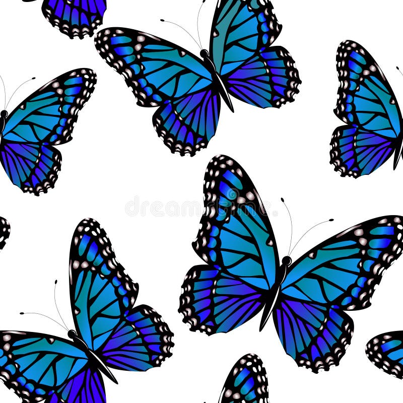 The Monarch Butterfly Vector Stock Vector - Illustration of beauty ...