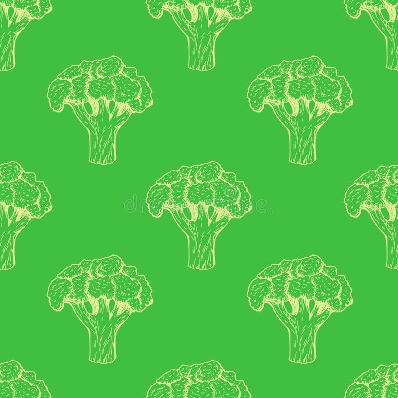 Seamless Pattern with Broccoli. Vector Background Stock Vector ...