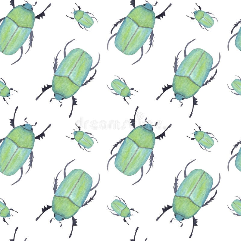 Seamless Pattern with Bug on White Background, Hand Painted Watercolor ...