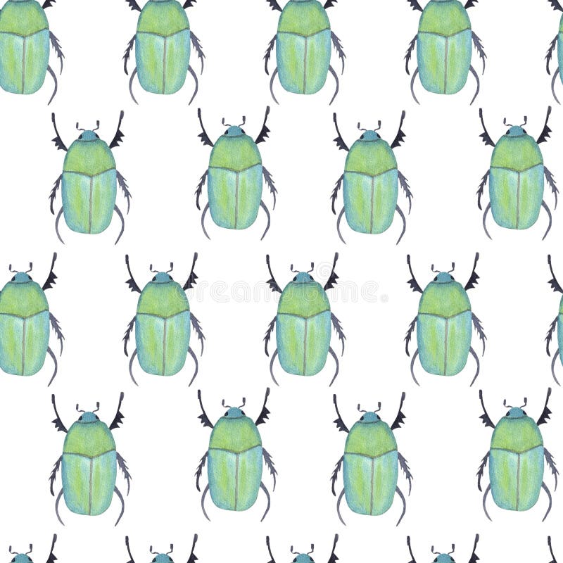 Seamless Pattern with Bug on White Background, Hand Painted Watercolor ...