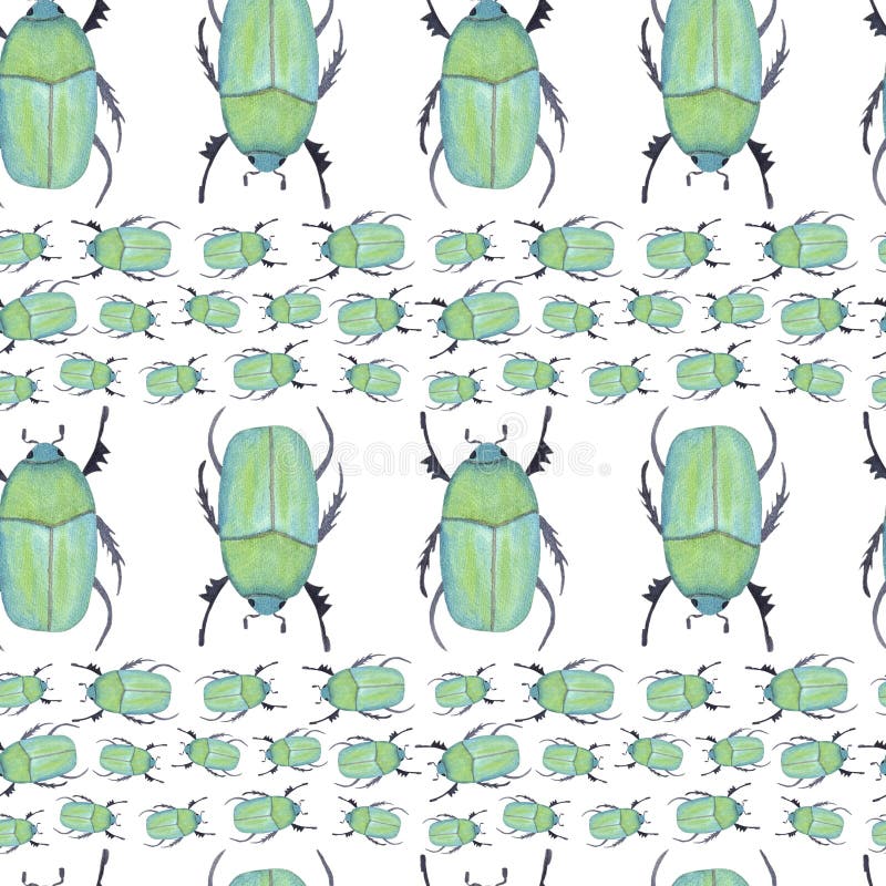 Seamless Pattern with Bug on White Background, Hand Painted Watercolor ...