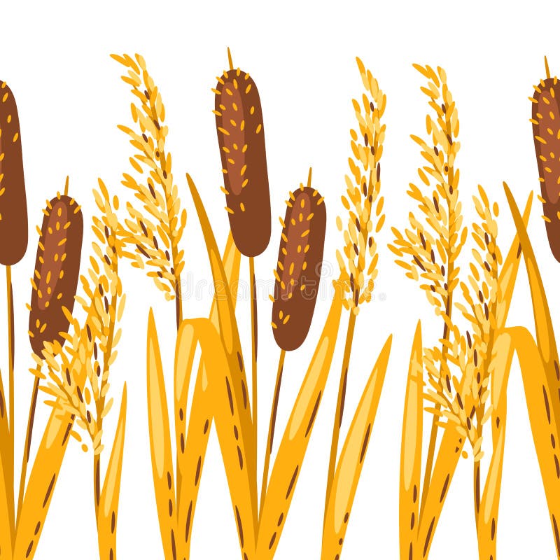 Seamless Pattern of Bulrush or Reed. Image of Autumn Plant. Stock ...
