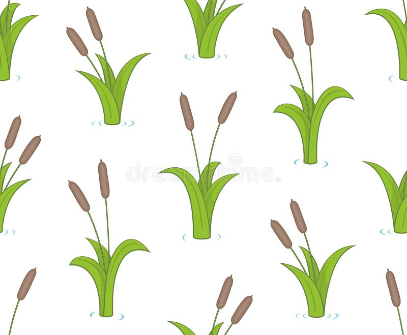 Bulrushes Backdrop Stock Illustrations – 5 Bulrushes Backdrop Stock ...