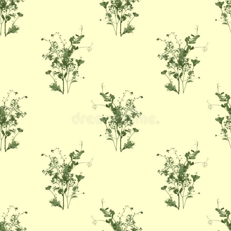 Seamless Pattern with Bunches of Different Grass and Herbs. Floral ...