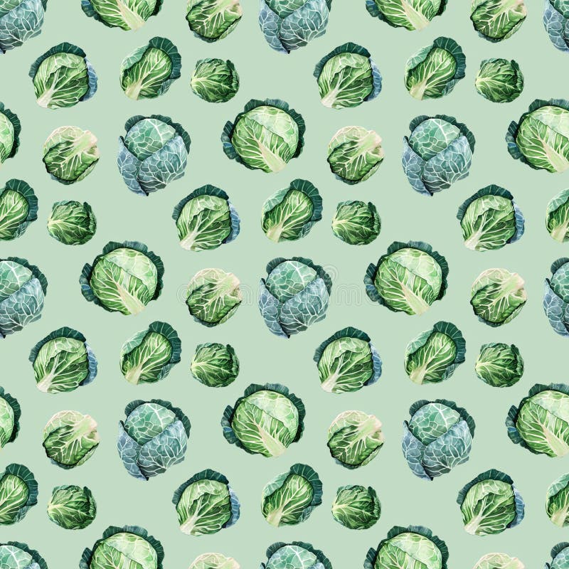 Seamless Pattern of Cabbage Heads on Pastel Green Background. Stock ...
