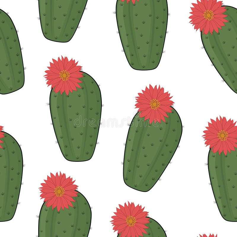 Seamless Pattern Cactus with Flowers Vector Illustration Stock Photo ...