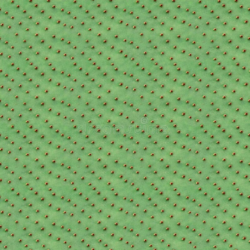 Seamless Pattern of a Cactus. the Texture of the Cactus with Spots ...