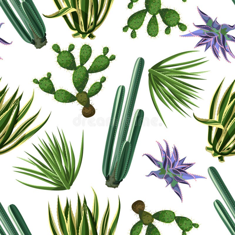 Seamless Pattern with Cactuses and Succulents Set. Plants of Desert Stock Vector - Illustration ...
