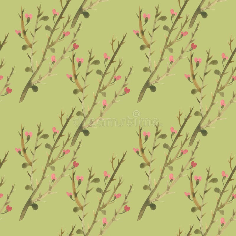 Seamless Pattern with Camel Thorn. Design for Textiles and Paper ...