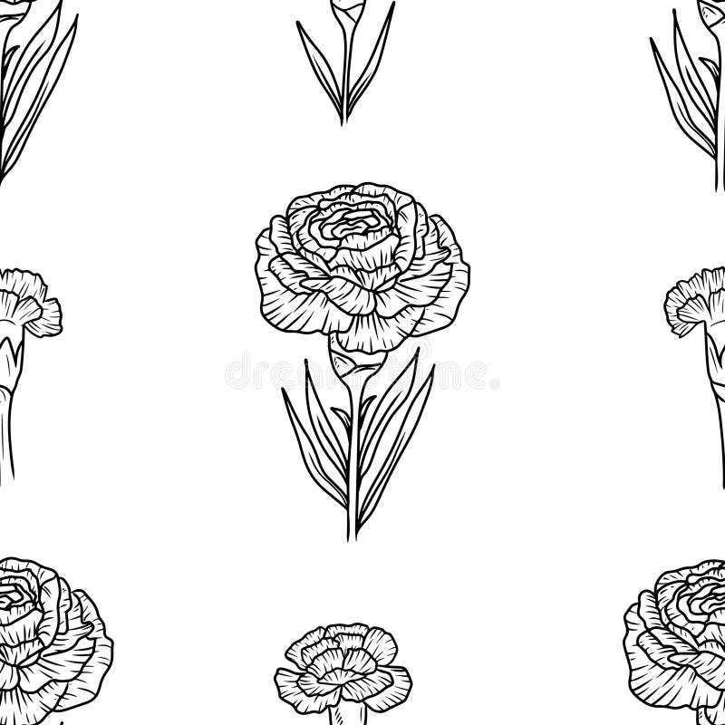 Seamless Pattern with Carnation Flowers and Buds in Black on White ...