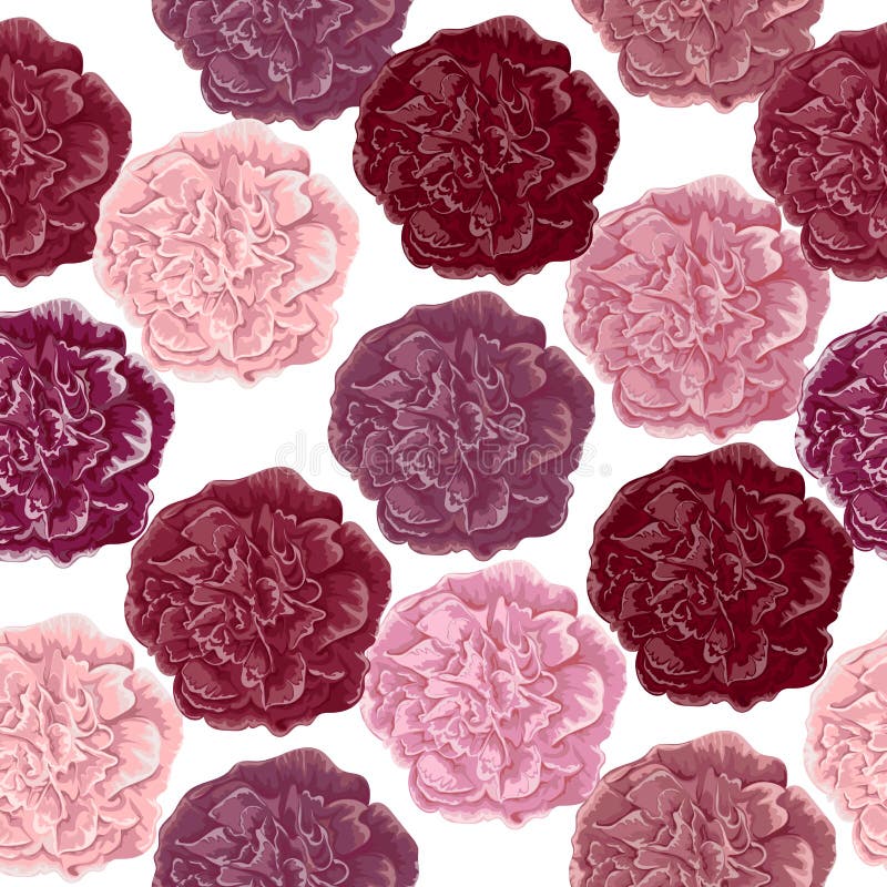 Seamless Pattern with Carnation Flowers. Variation of Different Colors ...