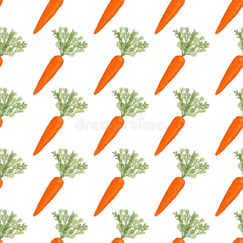 Seamless Pattern with Carrots Isol Stock Vector - Illustration of ...