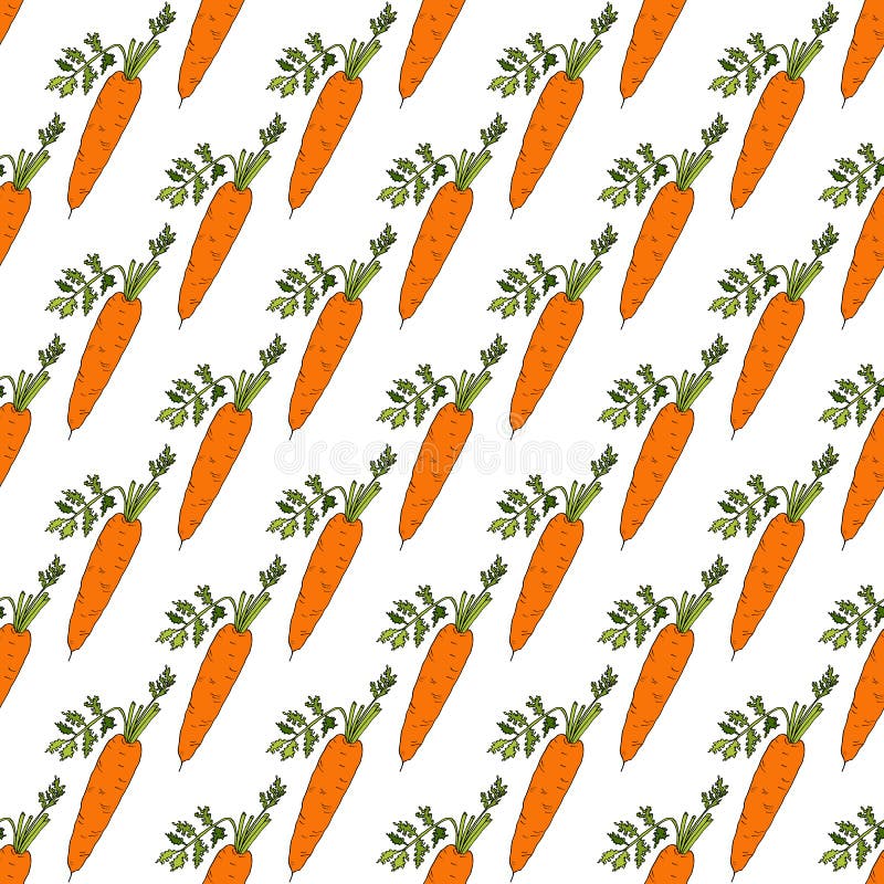 Seamless Pattern with Carrots Stock Vector - Illustration of organic ...