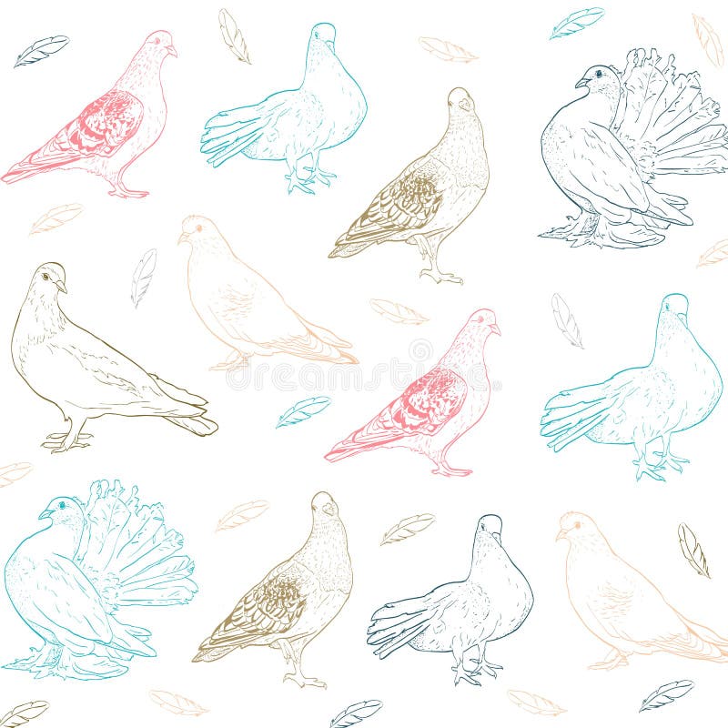 Seamless Pattern of Cartoon Urban Pigeons Stock Illustration ...