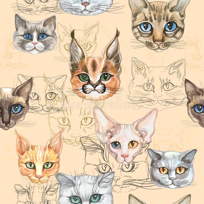 Seamless Pattern with Cats of Different Breeds. Watercolor Stock ...