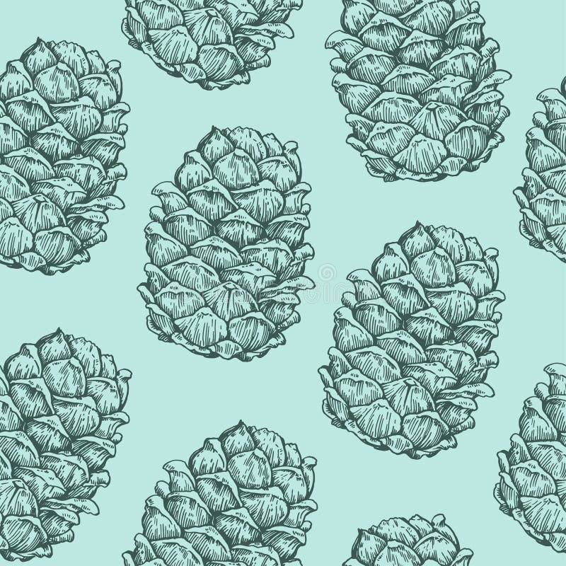 Seamless Pattern with Cedar Pine Cone Drawing in Enagraving Style. Hand ...