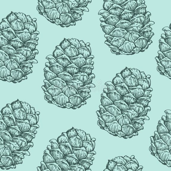 Seamless Pattern with Cedar Pine Cone Drawing in Enagraving Style. Hand ...