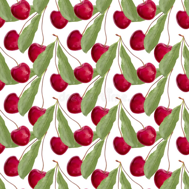 Seamless Pattern of Cherries, Cherries with Leaves on a White ...