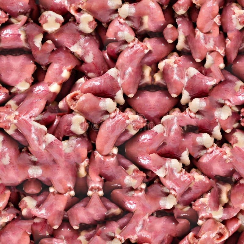 Seamless flesh texture stock photo. Image of alien, human - 55476338