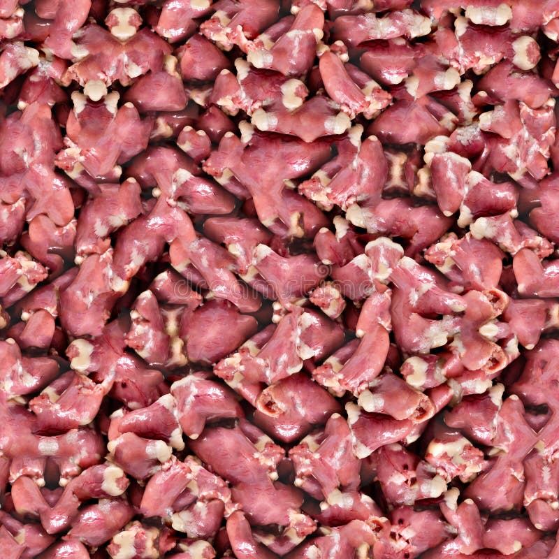 Seamless flesh texture stock photo. Image of alien, human - 55476338