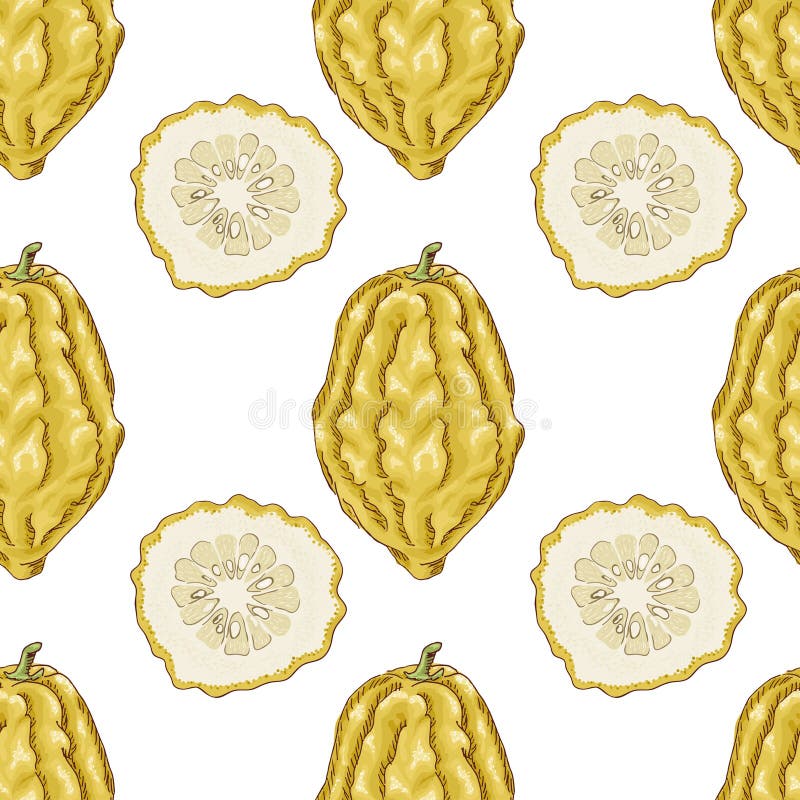 Seamless Pattern with Citron Stock Illustration - Illustration of food ...