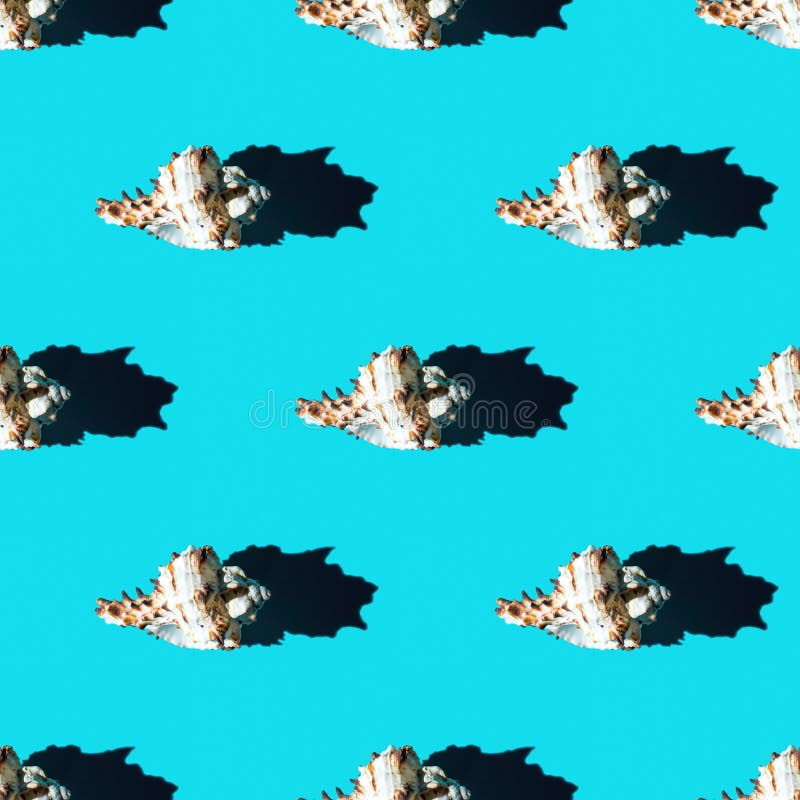Seamless Pattern of Shells on a Cyan Background Stock Photo - Image of ...