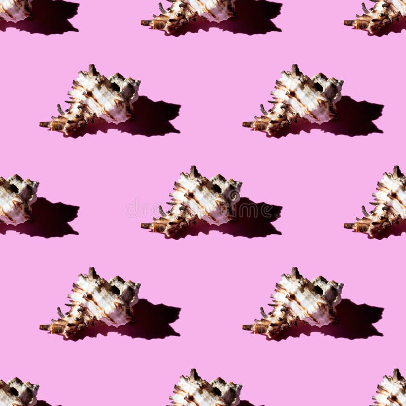 Seamless Pattern of Shells on a Pastel Background Stock Image - Image ...