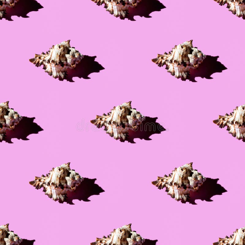 Seamless Pattern of Shells on a Pastel Background Stock Image - Image ...