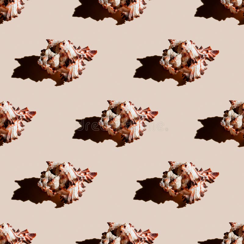 Seamless Pattern of Shells on a Pastel Orange Background Stock Photo ...
