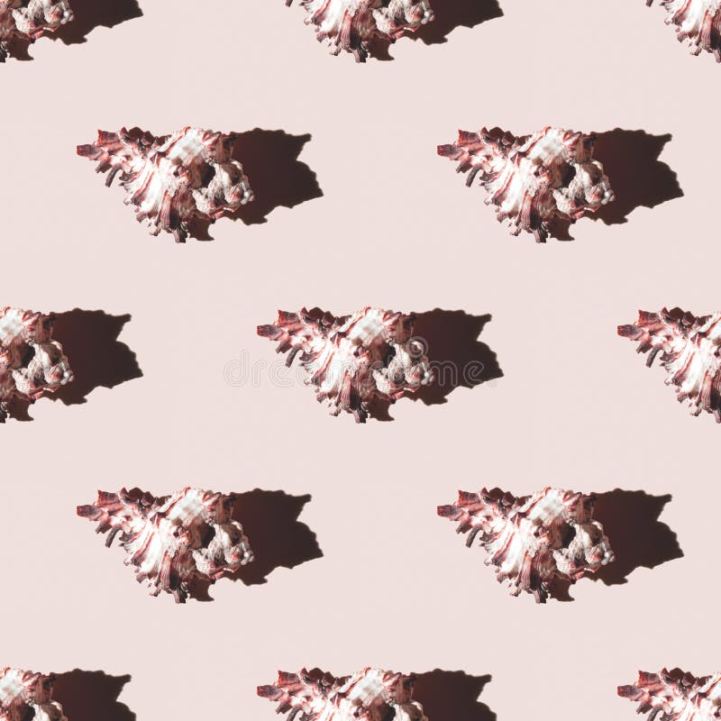 Seamless Pattern of Shells on a Pastel Yellow Background Stock Photo ...