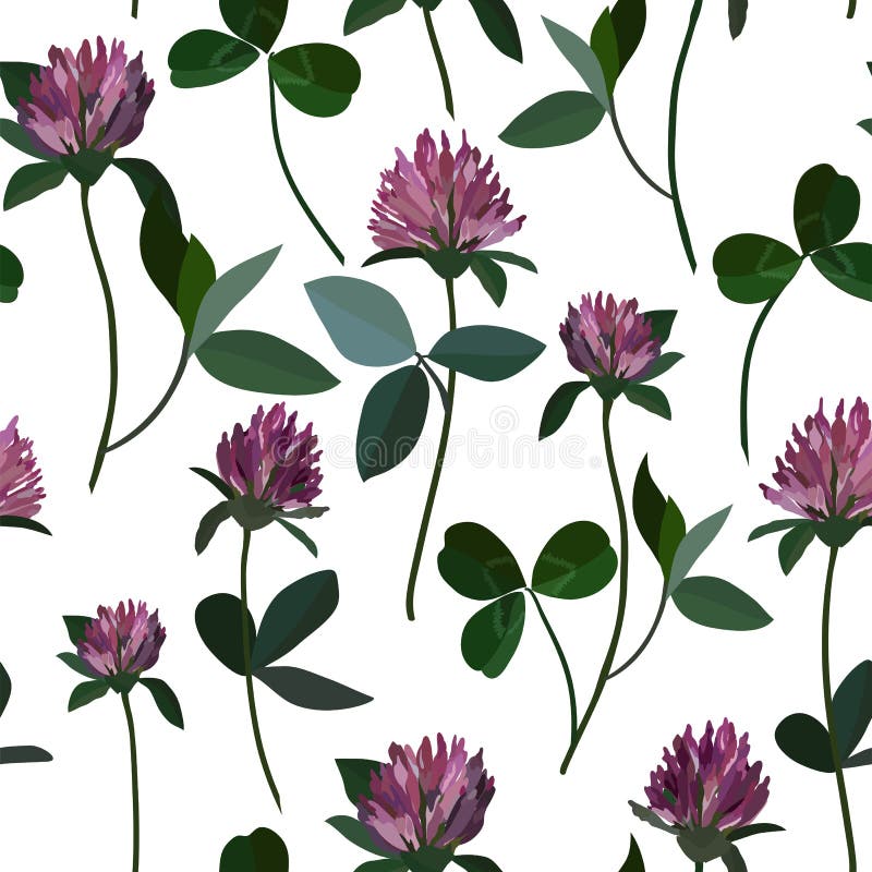 Seamless pattern clover stock vector. Illustration of love - 43958990