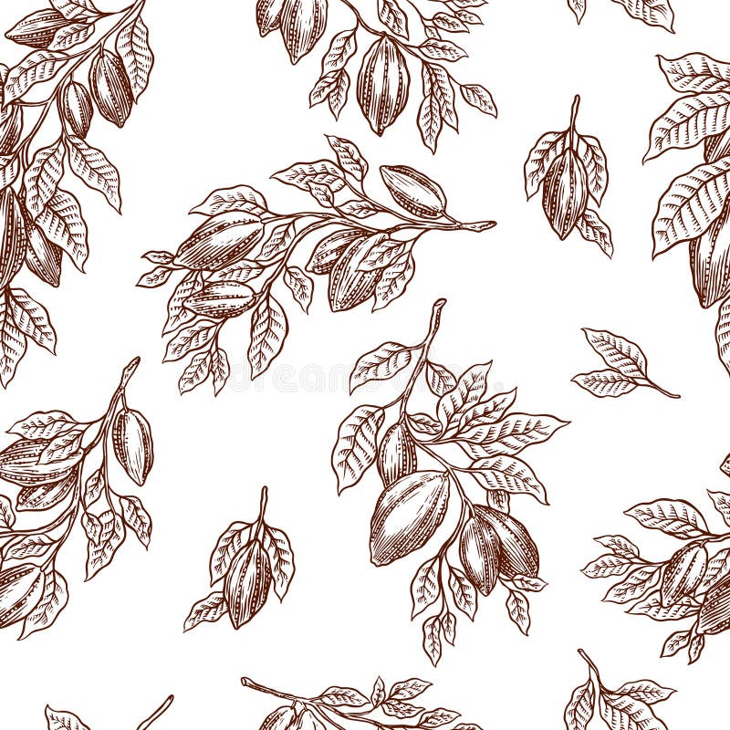Seamless Pattern with Cocoa Beans on a Branch for Chocolate Hand Drawn ...