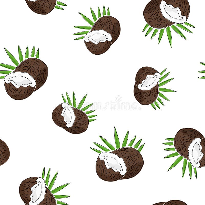 Seamless Pattern of Coconut Stock Vector - Illustration of organic ...