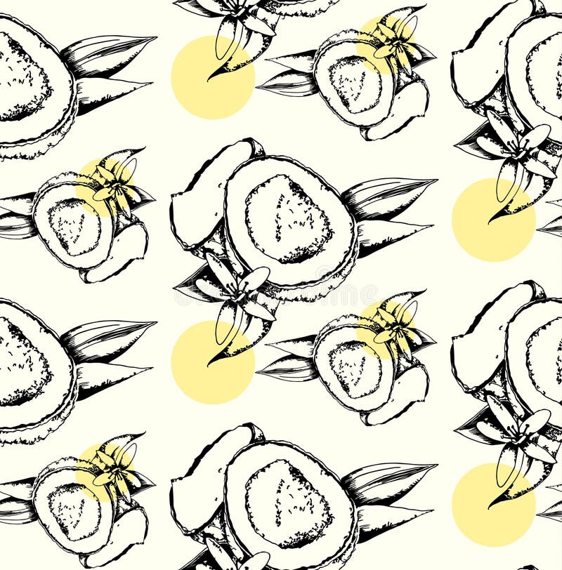 Coconut Oil Pattern Stock Illustrations – 745 Coconut Oil Pattern Stock ...
