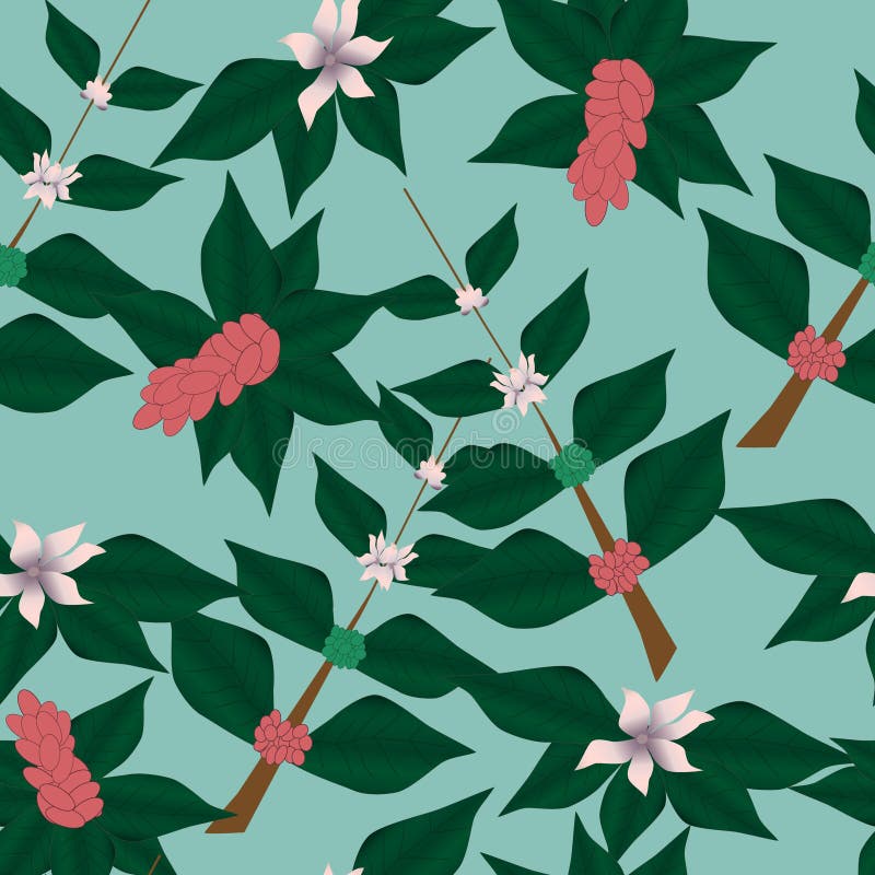 Pattern Coffee Tree Stock Illustrations – 3,543 Pattern Coffee Tree ...