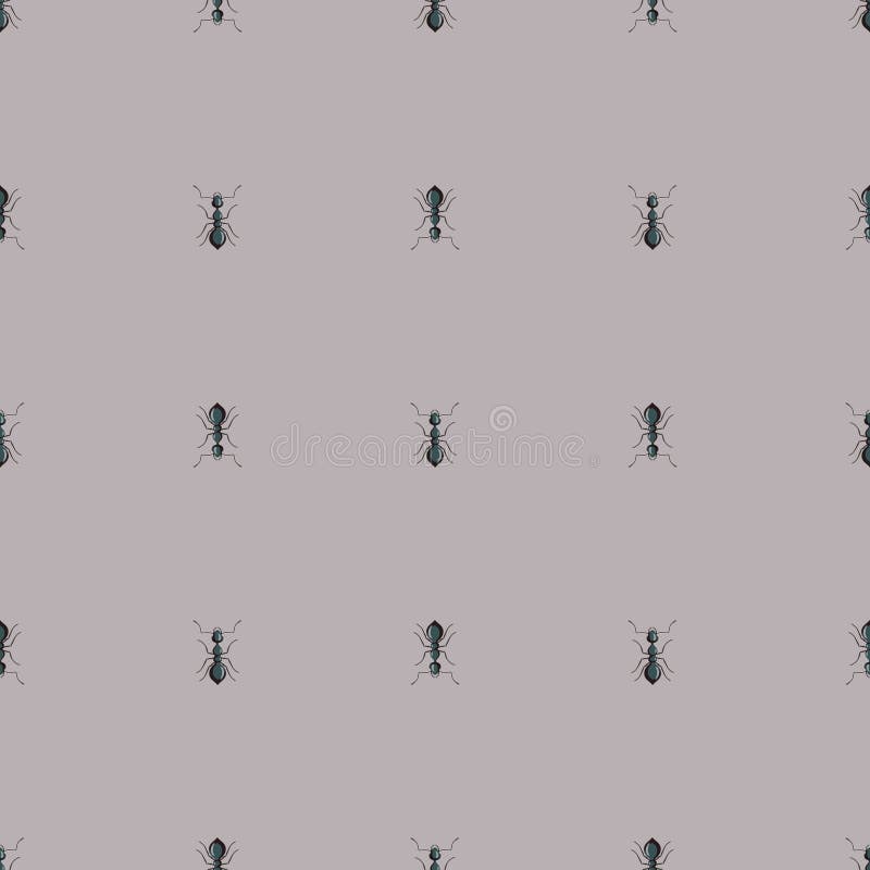 Seamless Pattern Colony Ants on Dark Gray Background. Vector Insects ...