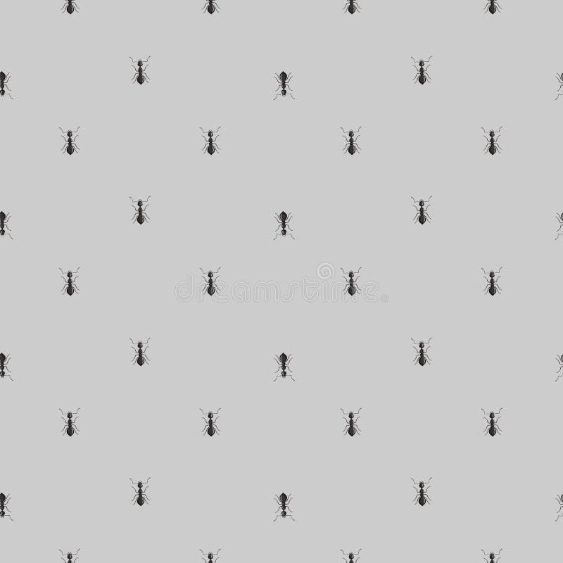 Seamless Pattern Colony Ants on Gray Background. Vector Insects ...