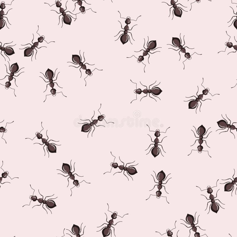 Seamless Pattern Colony Ants on Pink Background. Vector Insects ...