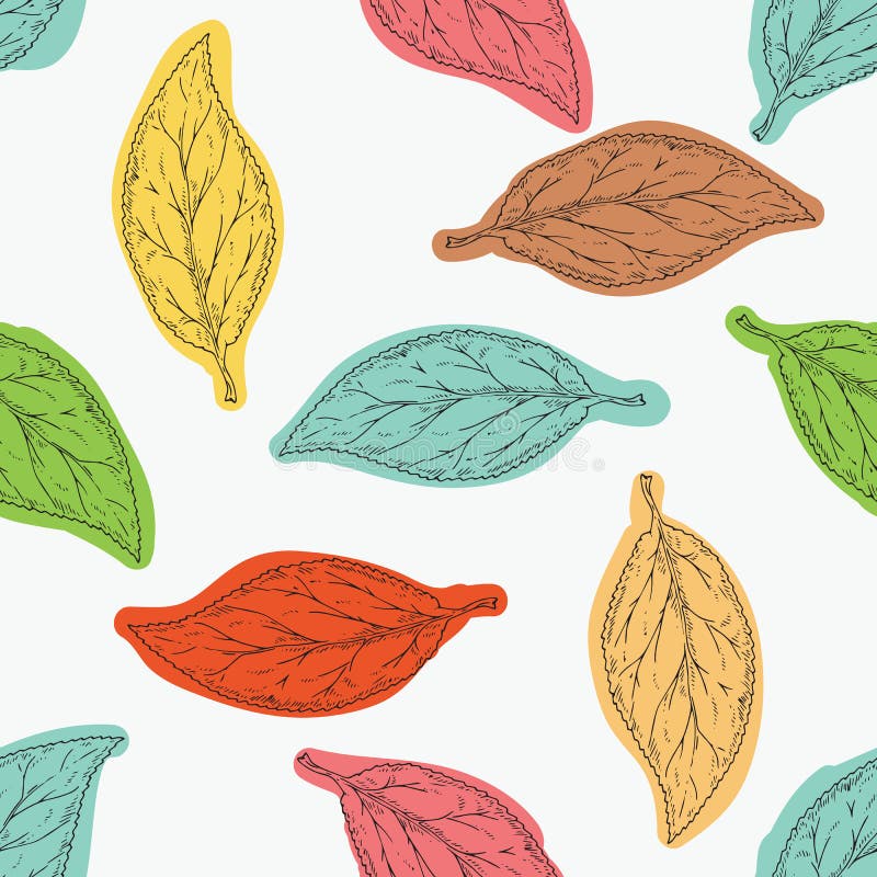 Seamless Pattern with Color Beech Leaves Stock Vector - Illustration of ...