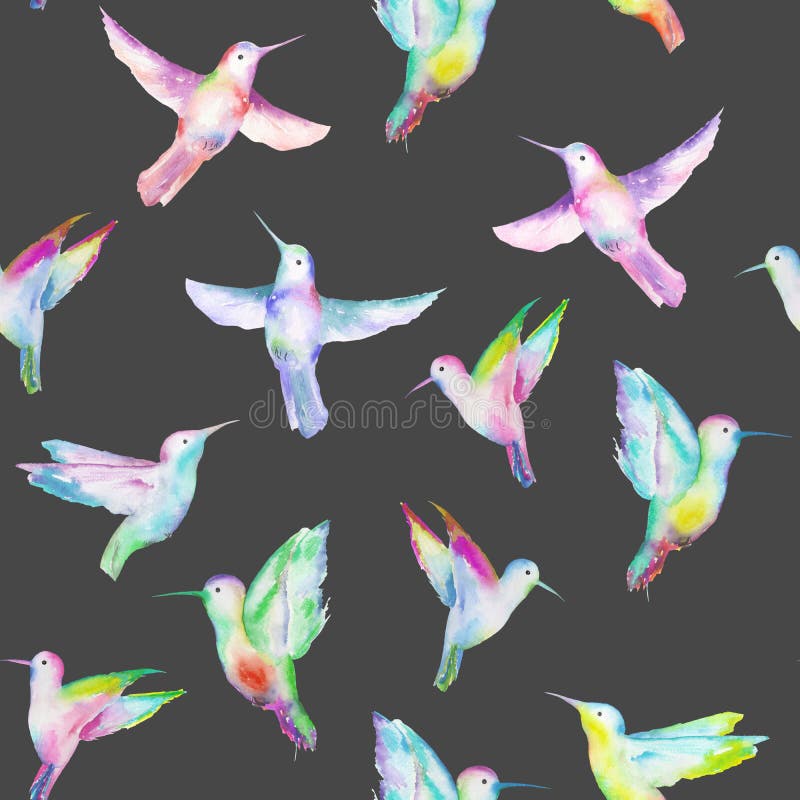 Seamless Pattern of Colored Colibri Stock Illustration - Illustration ...
