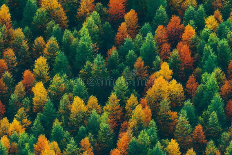 Seamless Pattern of Colorful Autumn Forest, Top View, 3d Ilustration ...