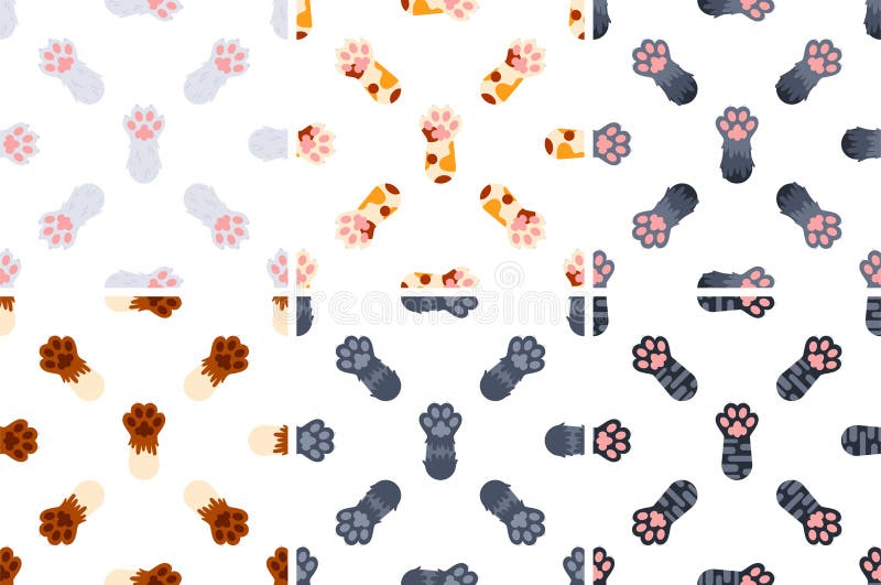 Seamless Pattern with Colorful Cat Paws Showing Paw Pads on White ...