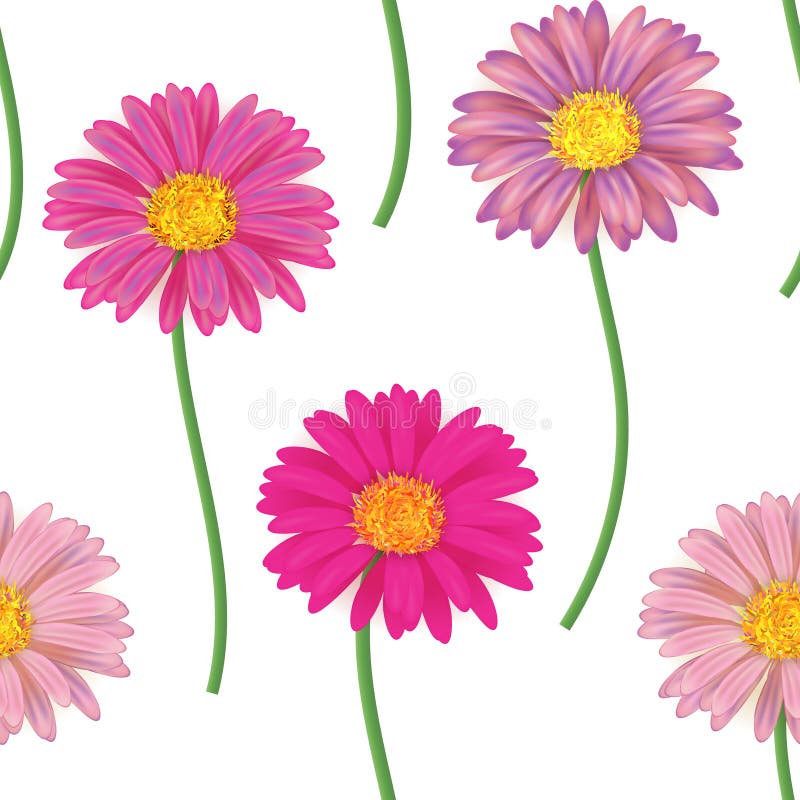 Seamless Pattern with Colorful Gerbera Flowers. Vector Illustration ...