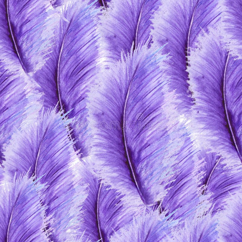 Seamless Pattern with Colorful Ostrich Feathers. Watercolor ...