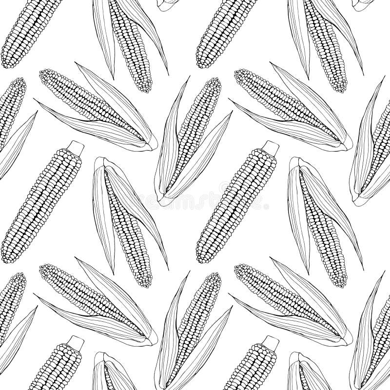 Corn Stalk Stock Illustrations – 2,145 Corn Stalk Stock Illustrations ...