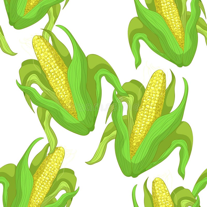 Seamless Pattern Corn in the Cob with Leaves. Vector Illustration Stock ...