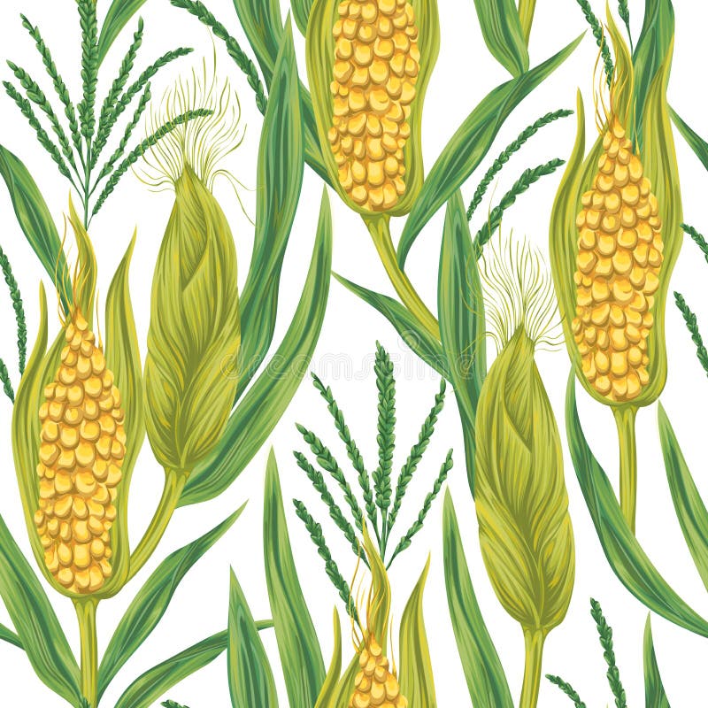 Seamless Pattern with Corn. Cobs, Blossom Branch and Leaf Stock Vector ...